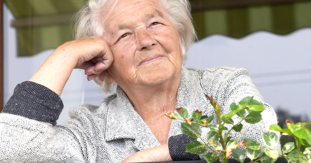 procuritas GmbH | procuritas GmbH